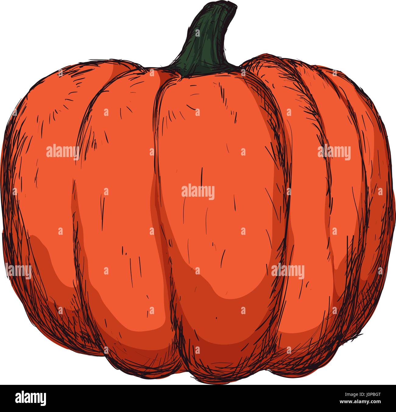 Vegetable hand draw Stock Vector Image & Art - Alamy