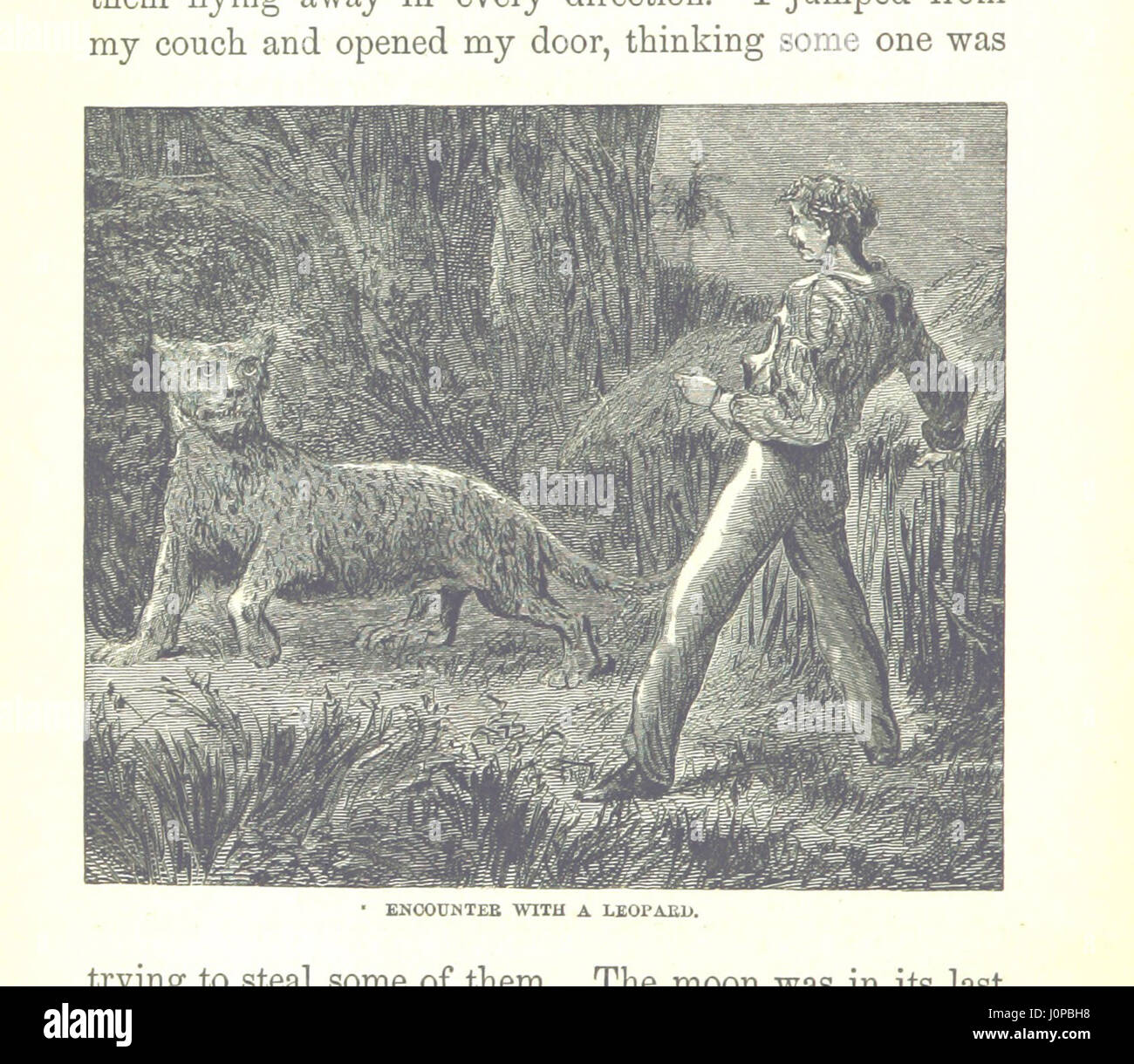 *Wild Life under the Equator* presents an introduction to the wildlife ...