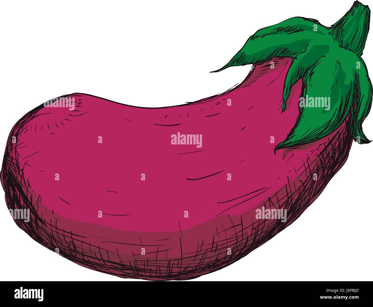 Vegetable hand draw Stock Vector Image & Art - Alamy