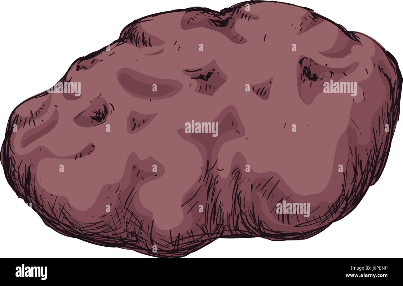 Vegetable hand draw Stock Vector Image & Art - Alamy