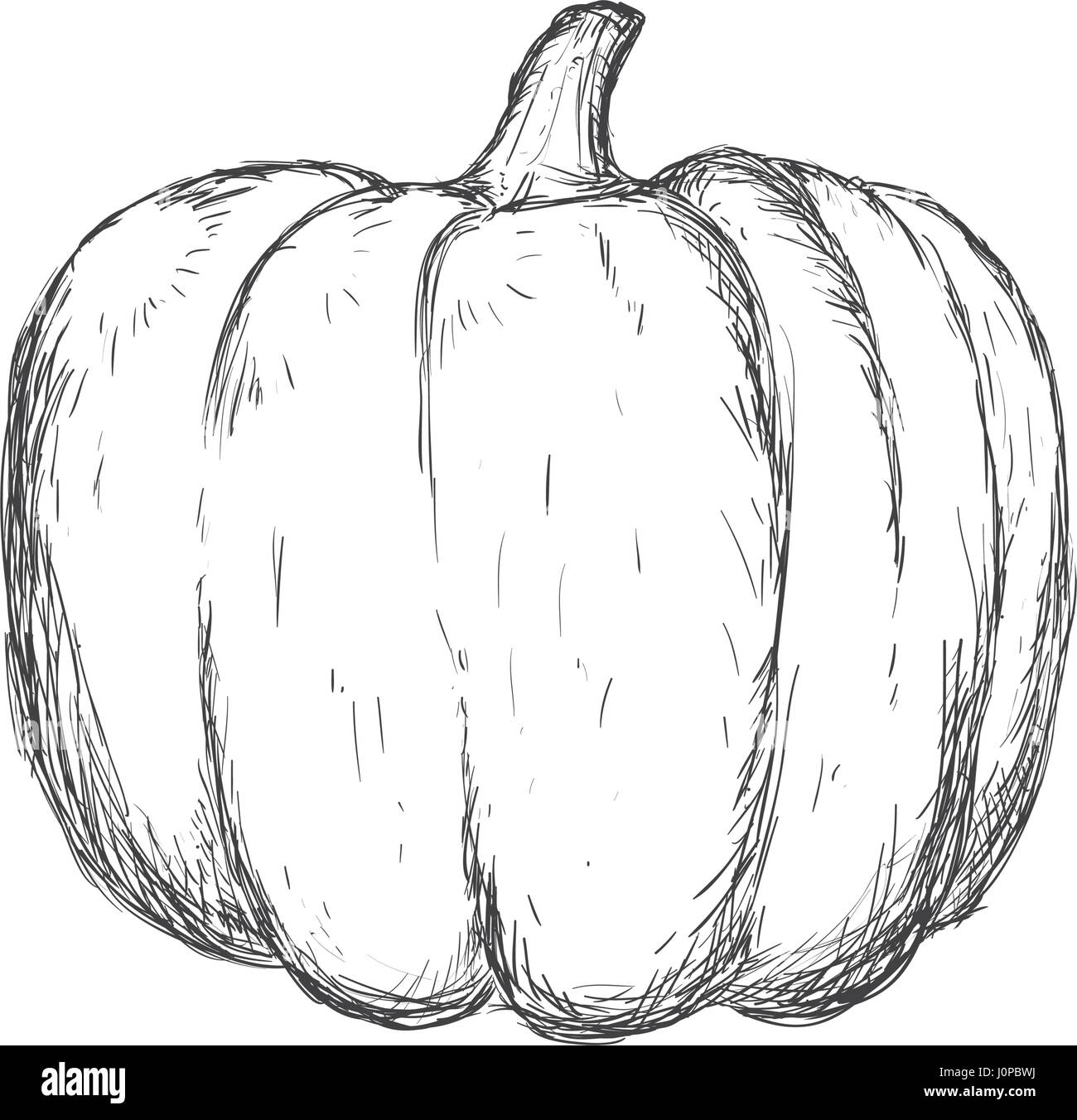 Vegetable hand draw Stock Vector Image & Art - Alamy