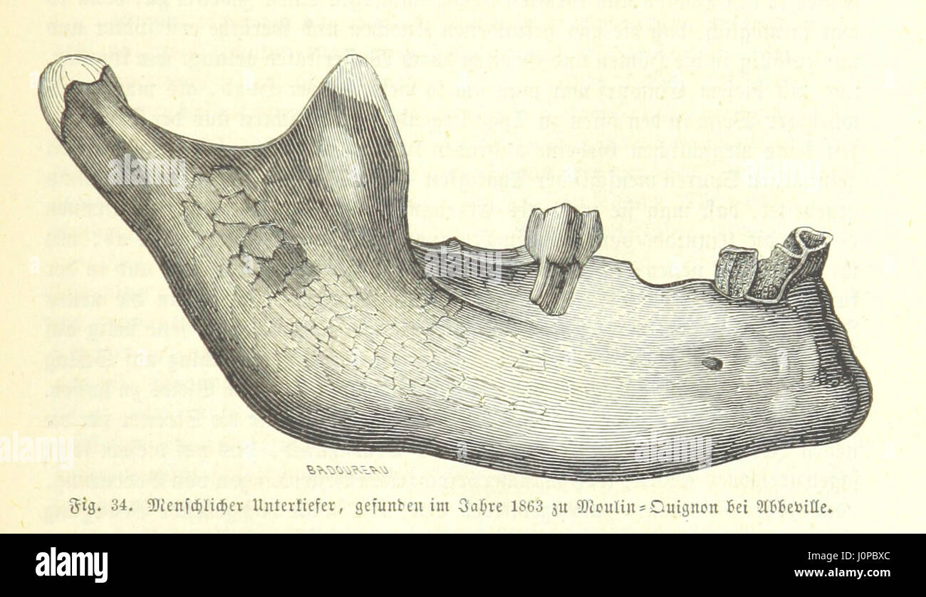 A work detailing the origin and development of humanity, beginning with ...