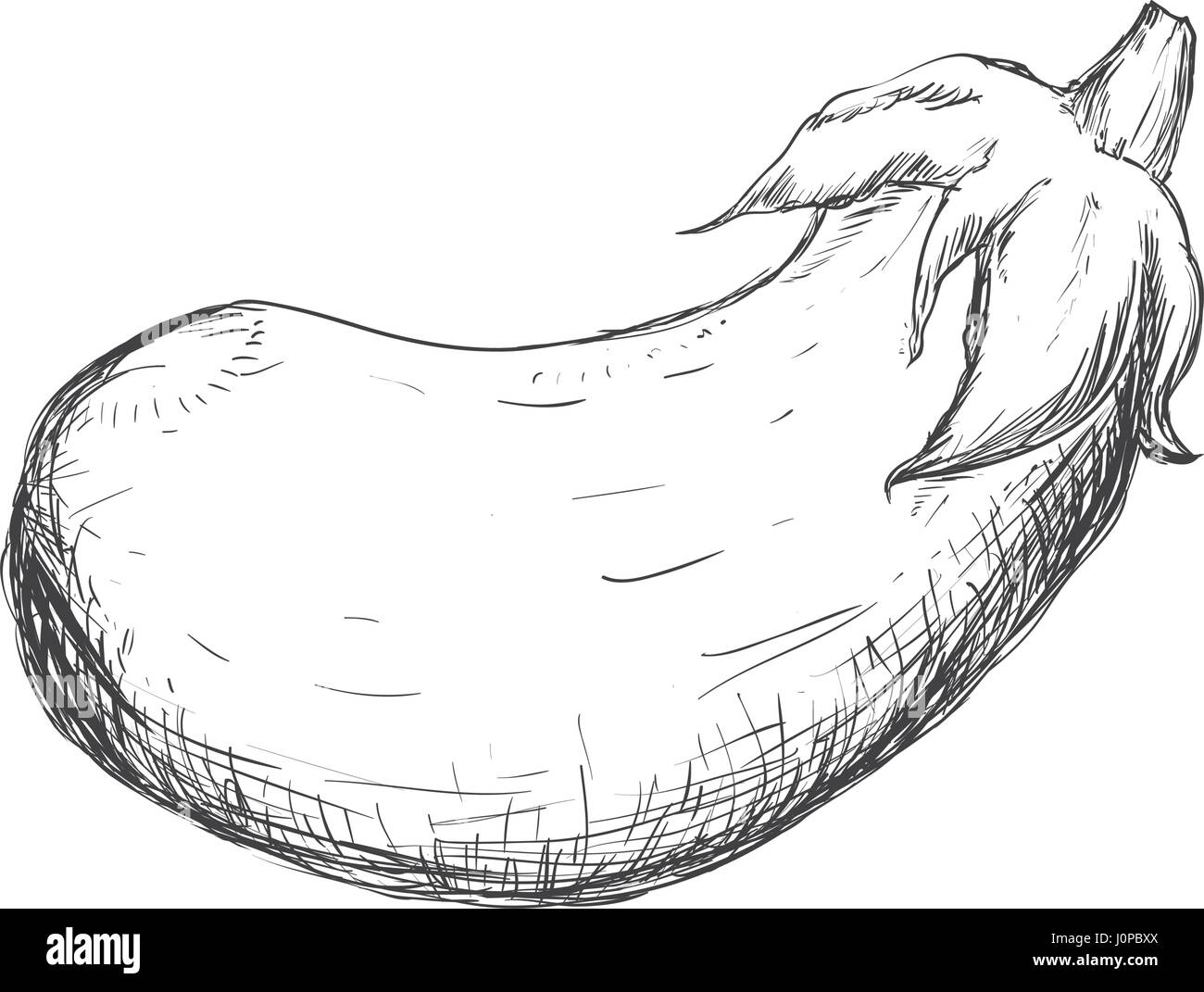 Vegetable hand draw Stock Vector Image & Art - Alamy