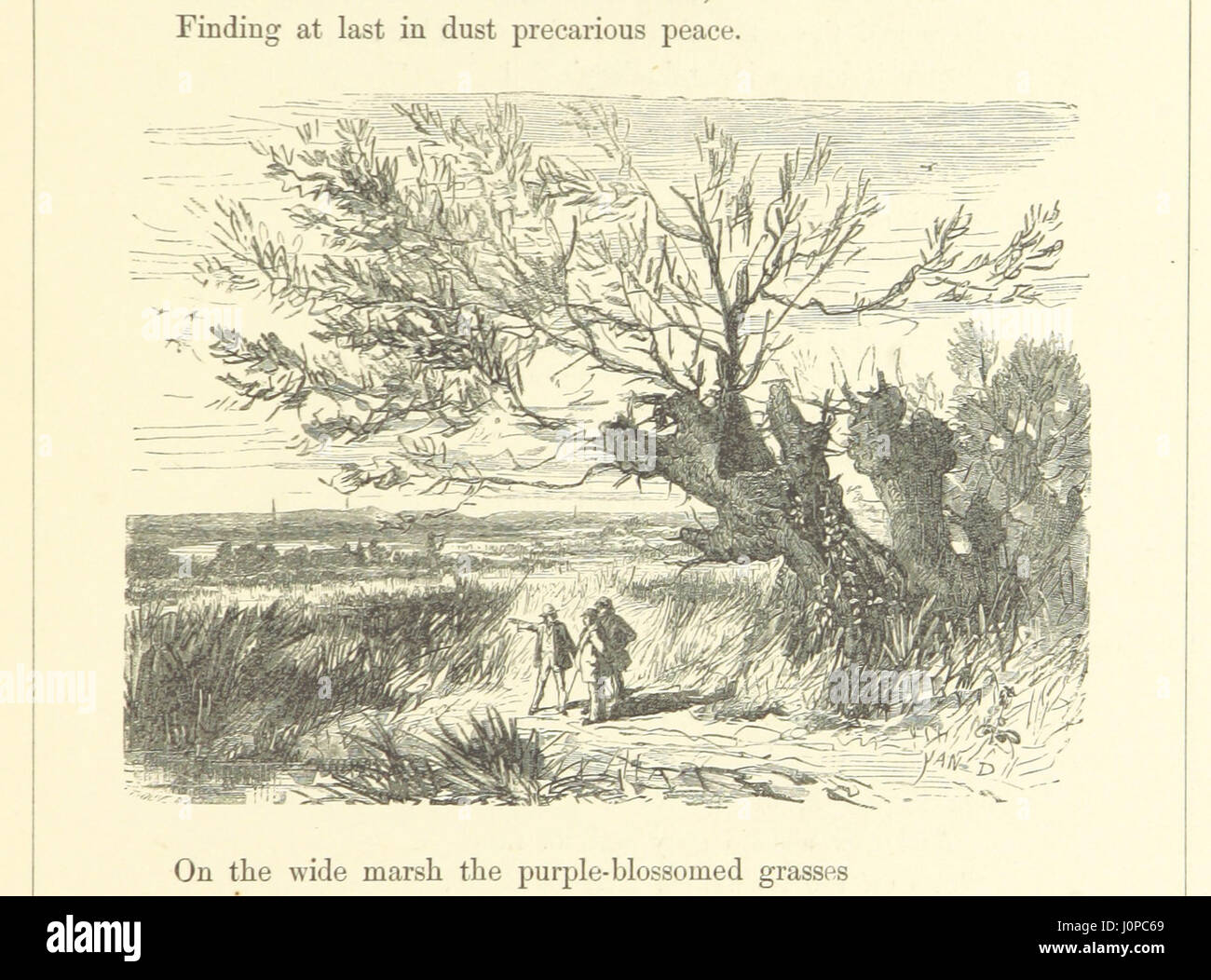 This collection of descriptive poetry brings the beauty of the woodland ...