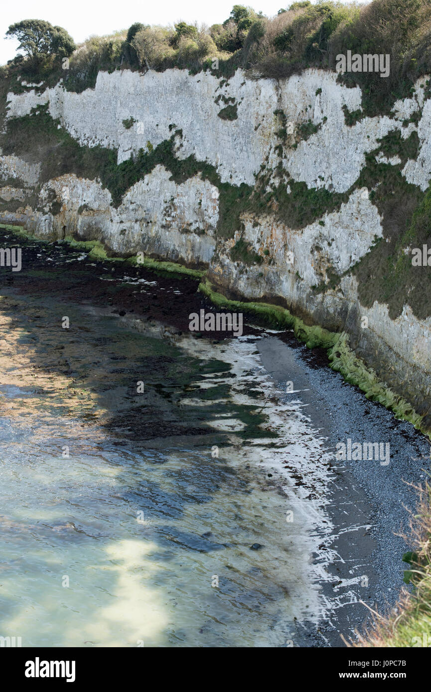 The white cliffs of Studland, Dorset, UK Stock Photo - Alamy