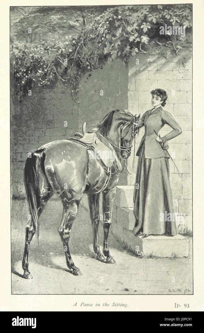 *Sebastiani's Secret* is a novel centered on mystery, intrigue, and the ...