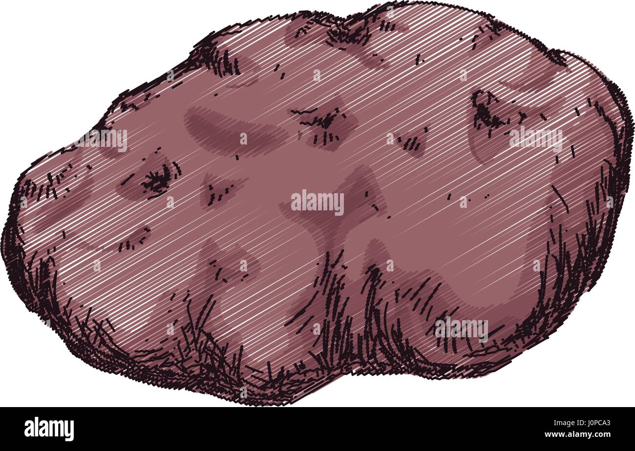 Potato Vegetable hand draw Stock Vector Image & Art - Alamy