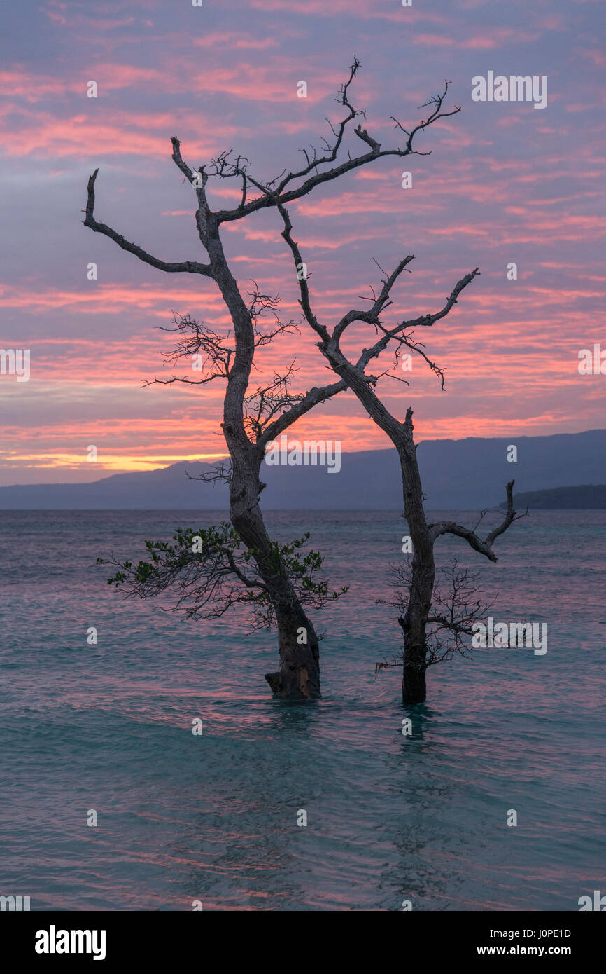 Impressions of pantar island hi-res stock photography and images - Alamy