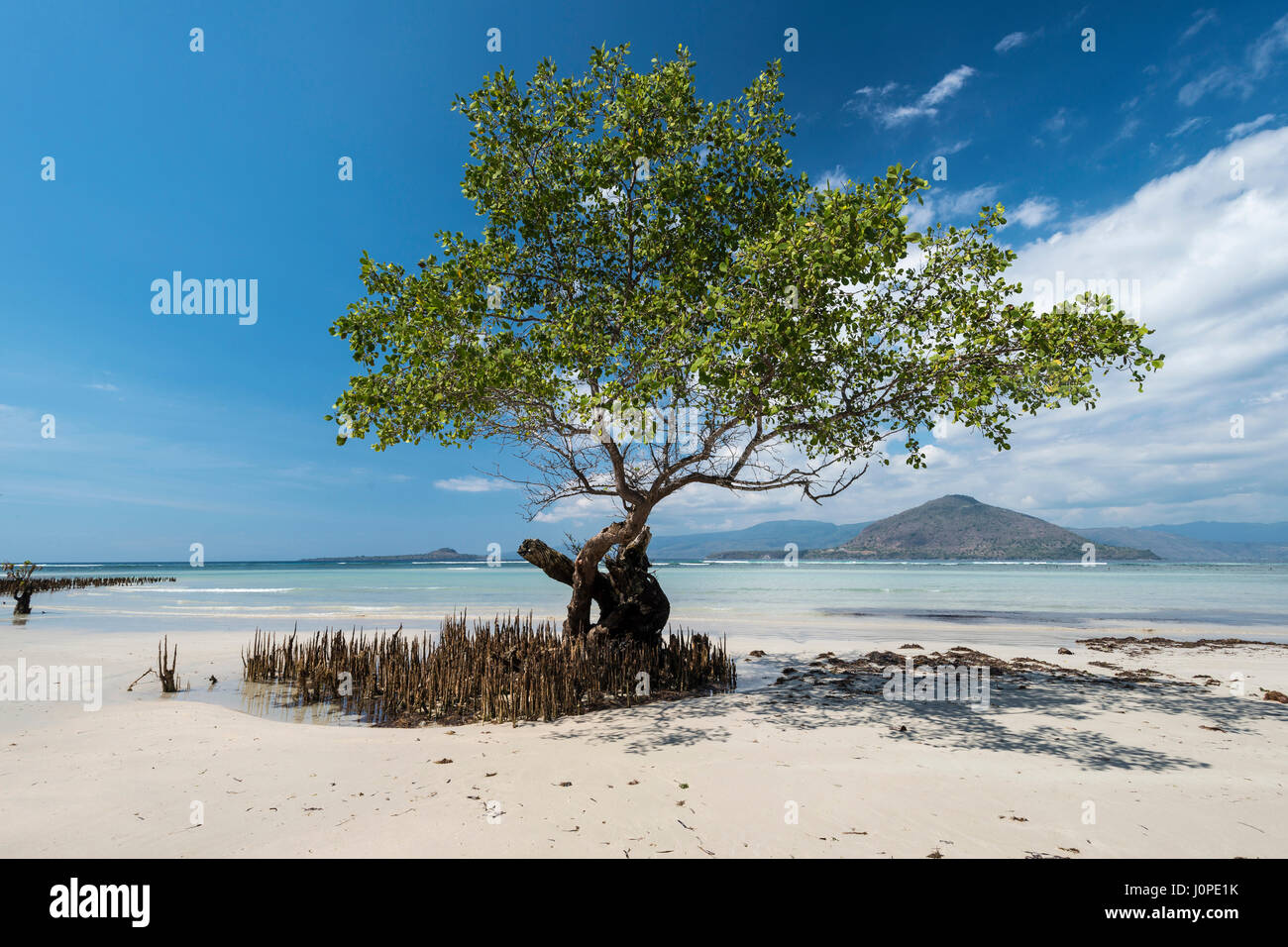 Impressions of Pantar Island, Alor Island, Indonesia Stock Photo - Alamy