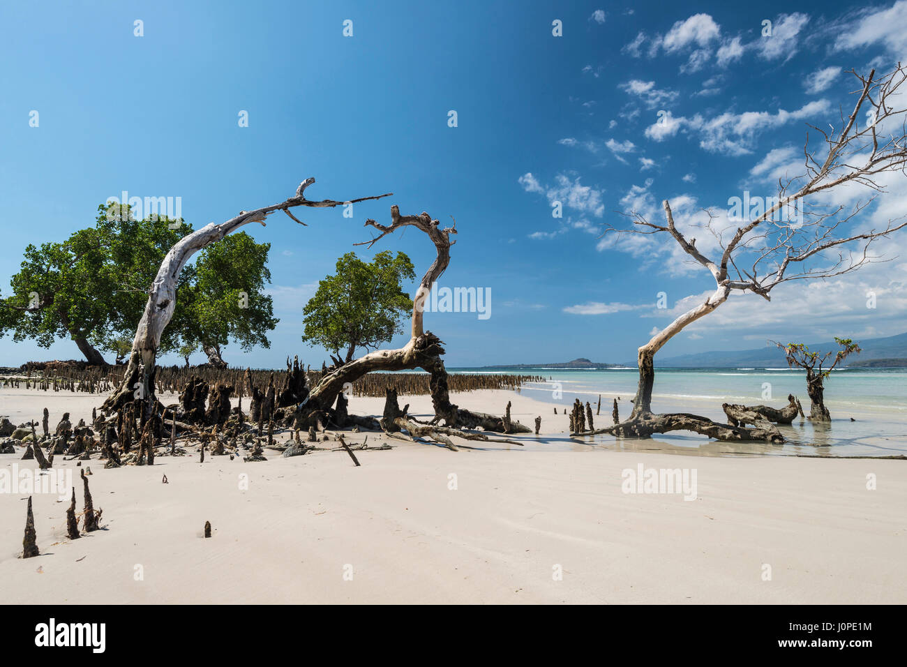 Impressions of Pantar Island, Alor Island, Indonesia Stock Photo - Alamy