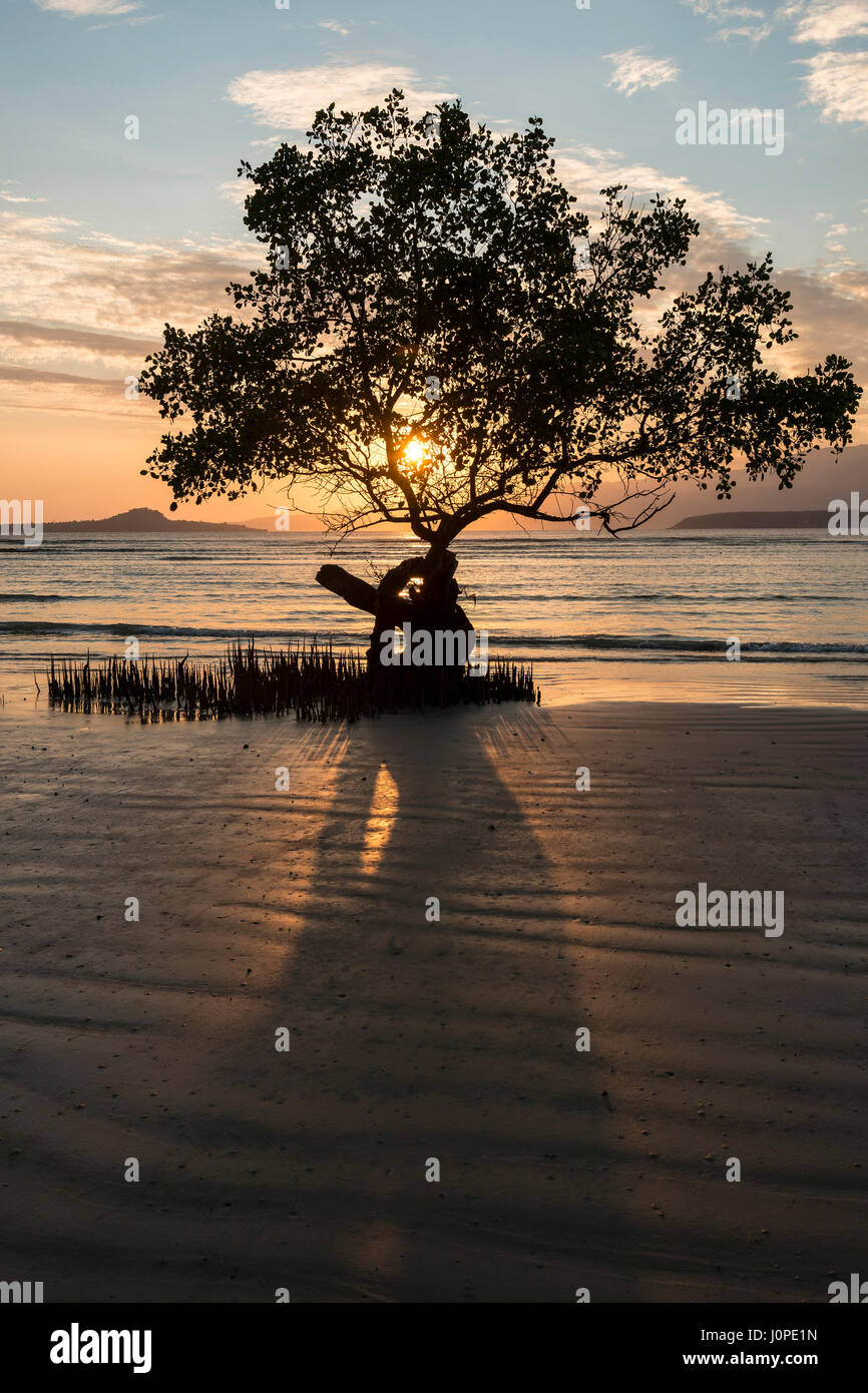 Impressions of Pantar Island, Alor Island, Indonesia Stock Photo - Alamy