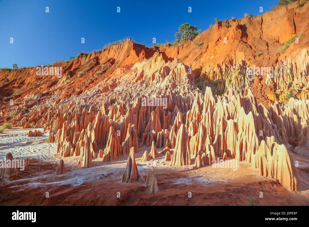 The Tsingy Rouge (Red Tsingy) is a stone formation of red laterite ...