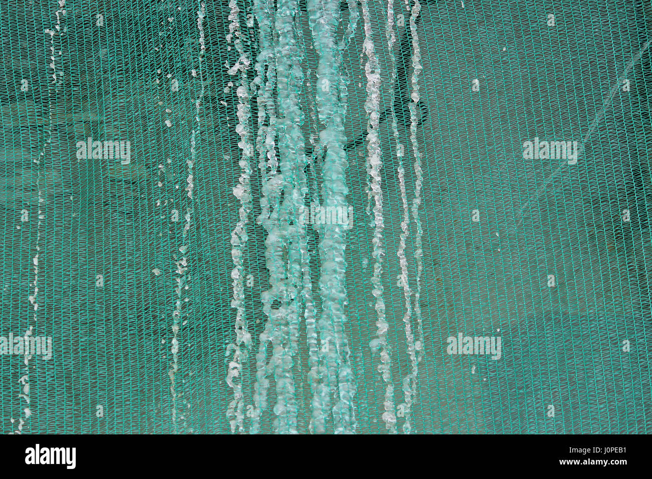 Restoration of the building and a protective green building mesh with ...