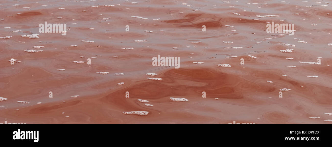 Typical pink water color at Lake Retba Stock Photo - Alamy