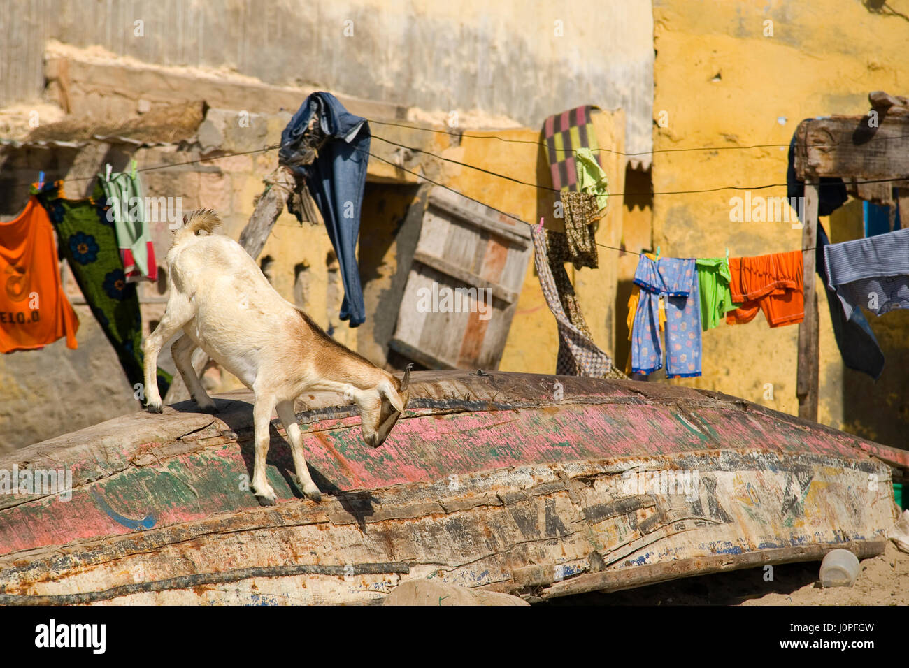 Goat a boat hi-res stock photography and images - Alamy