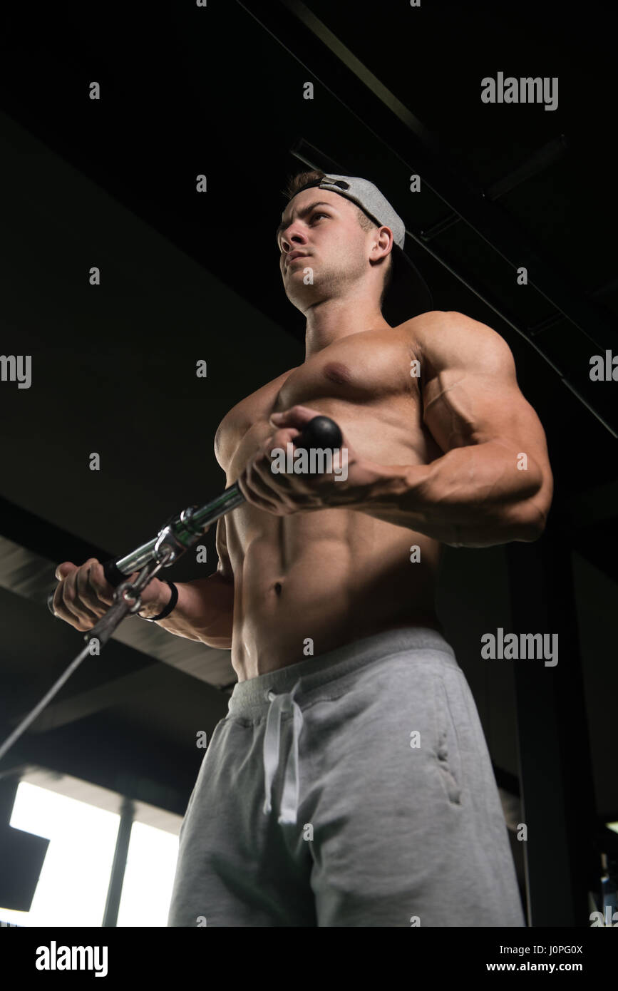 Handsome Muscular Fitness Bodybuilder Doing Heavy Weight Exercise For Biceps On Machine With ...