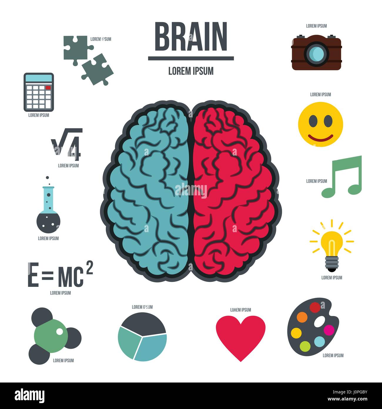 Human brain infographics set, flat style Stock Vector Image & Art - Alamy