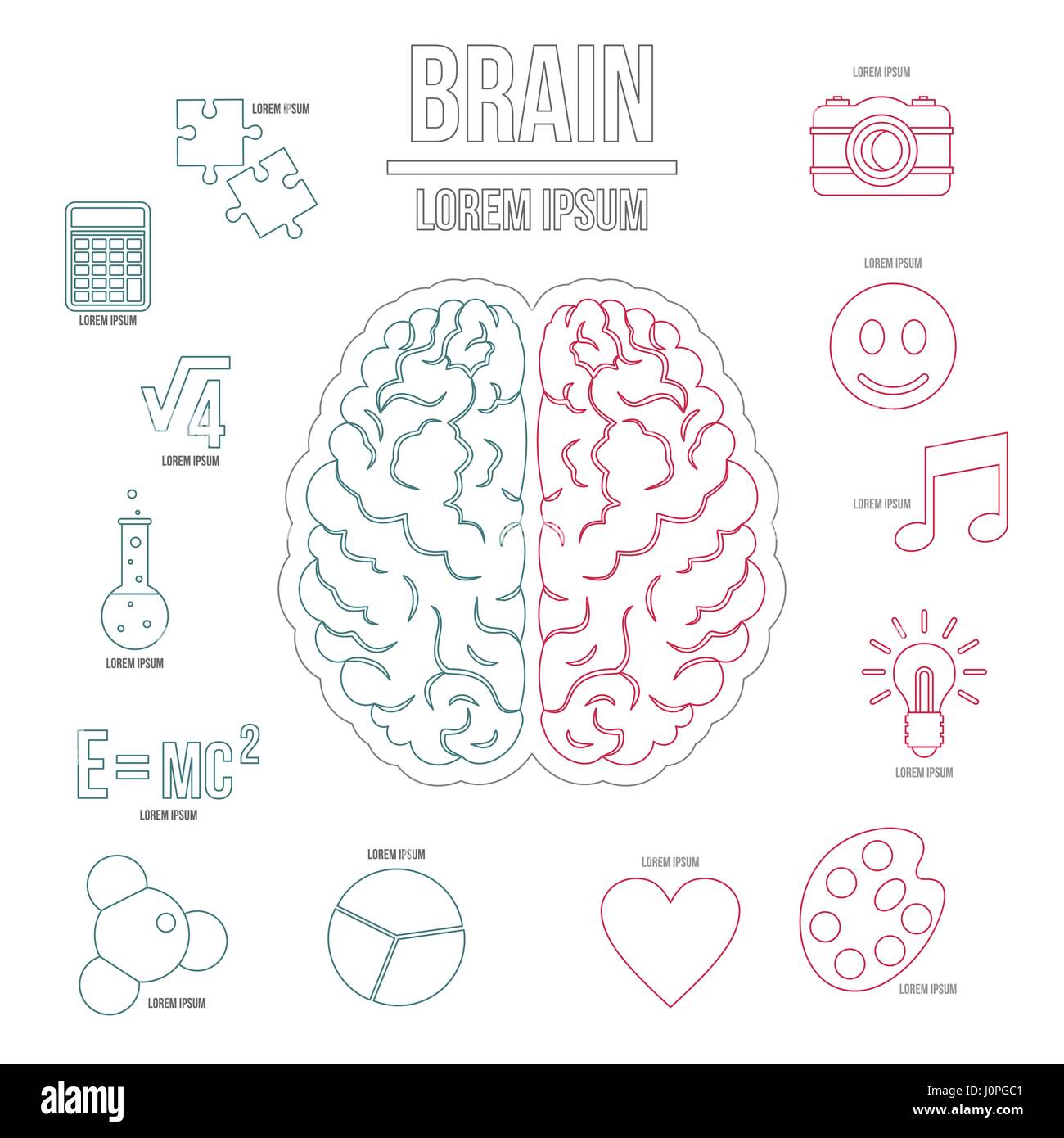 Brain Outline High Resolution Stock Photography and Images - Alamy