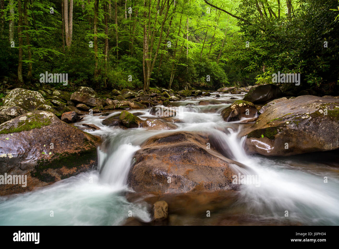 This is an image looking upstream on Big Creek near Mouse Creek Falls ...