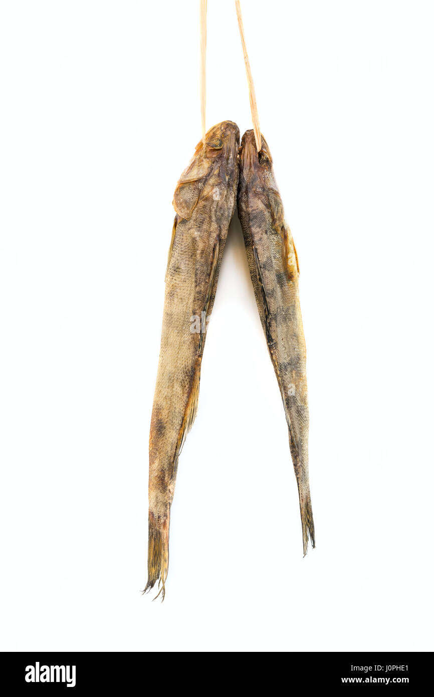Dried fish on white background on the white background Stock Photo - Alamy
