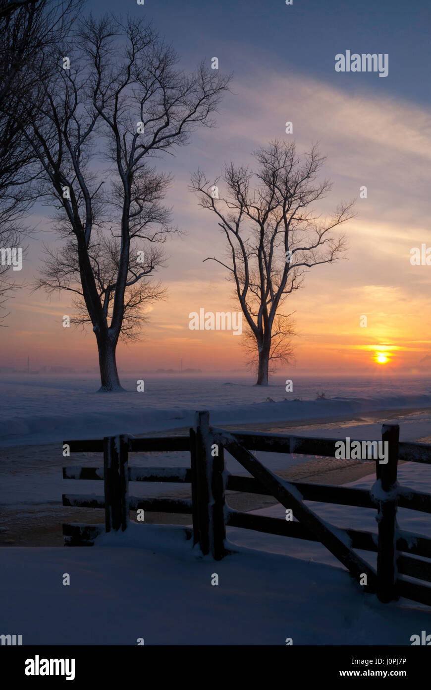 Snowy landscape in the Alblasserwaard Stock Photo - Alamy