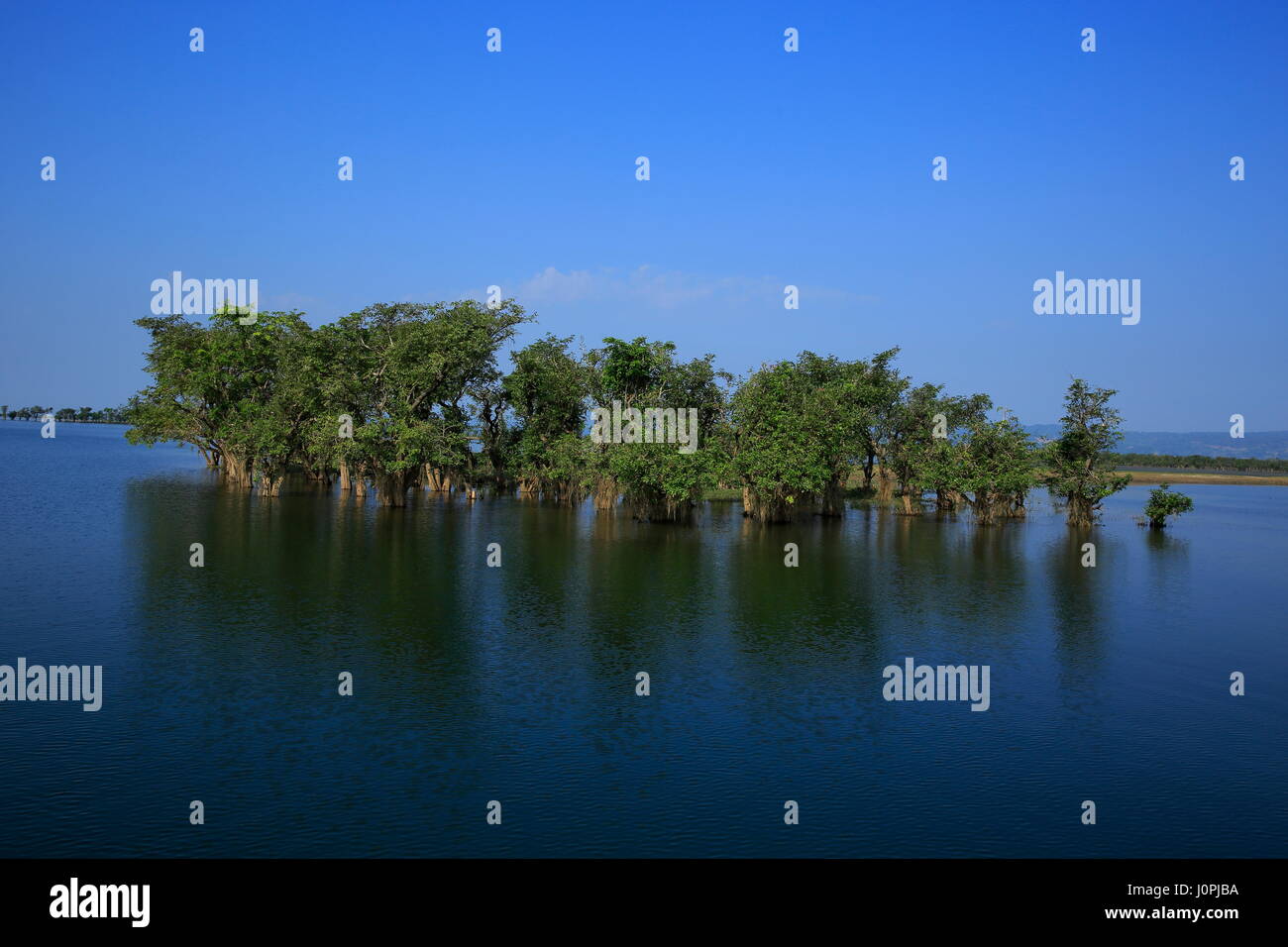 Tanguar haor, located in the Dharmapasha and Tahirpur upazilas of ...