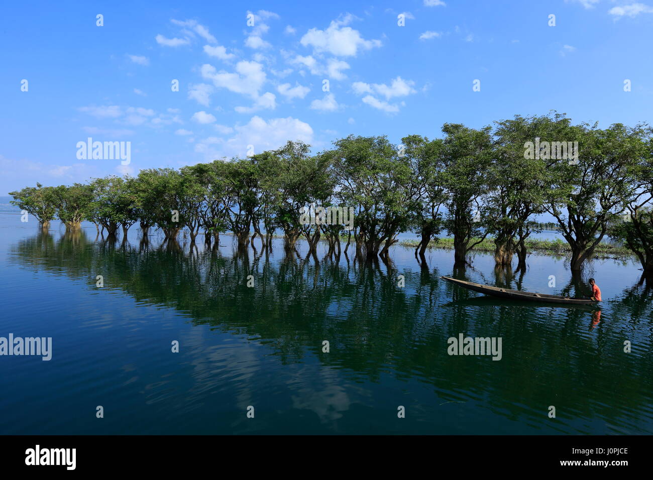 A scenario of Tanguar Haor also called Tangua Haor. Sunamganj ...
