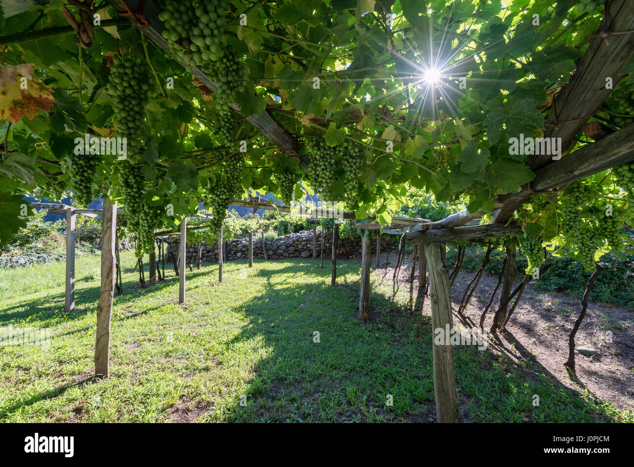 Grooving hi-res stock photography and images - Alamy