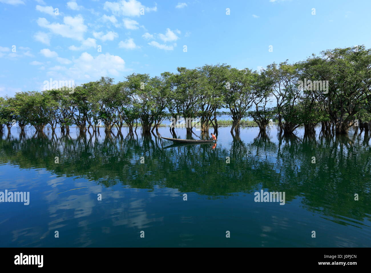 A scenario of Tanguar Haor also called Tangua Haor. Sunamganj ...