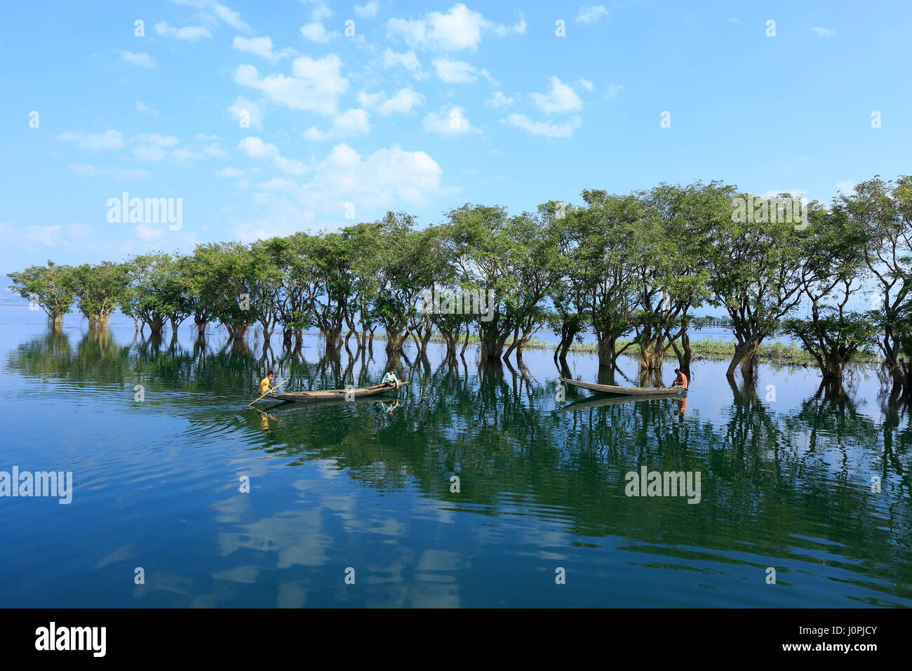 Tanguar haor, located in the Dharmapasha and Tahirpur upazilas of ...