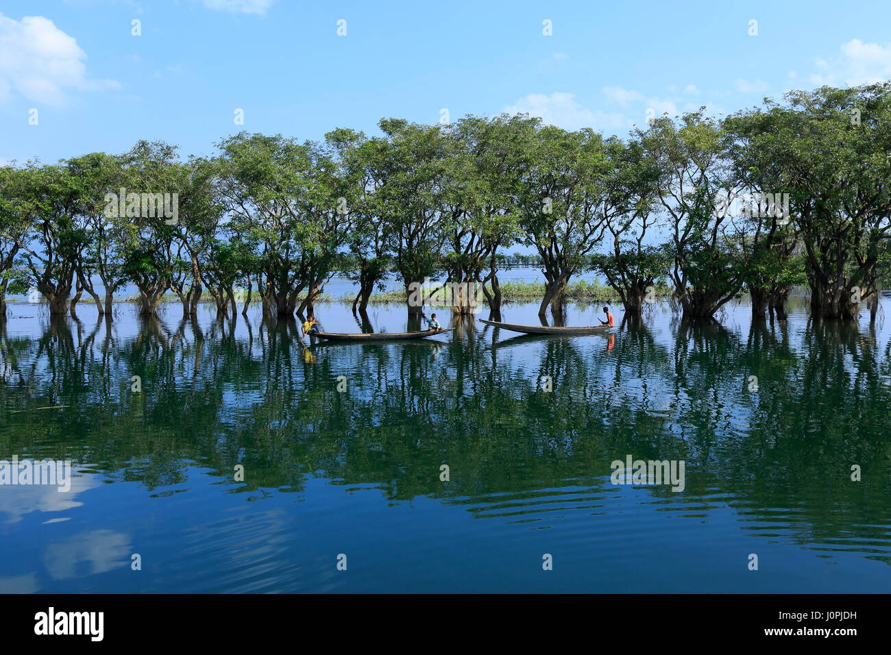 Tanguar haor, located in the Dharmapasha and Tahirpur upazilas of ...