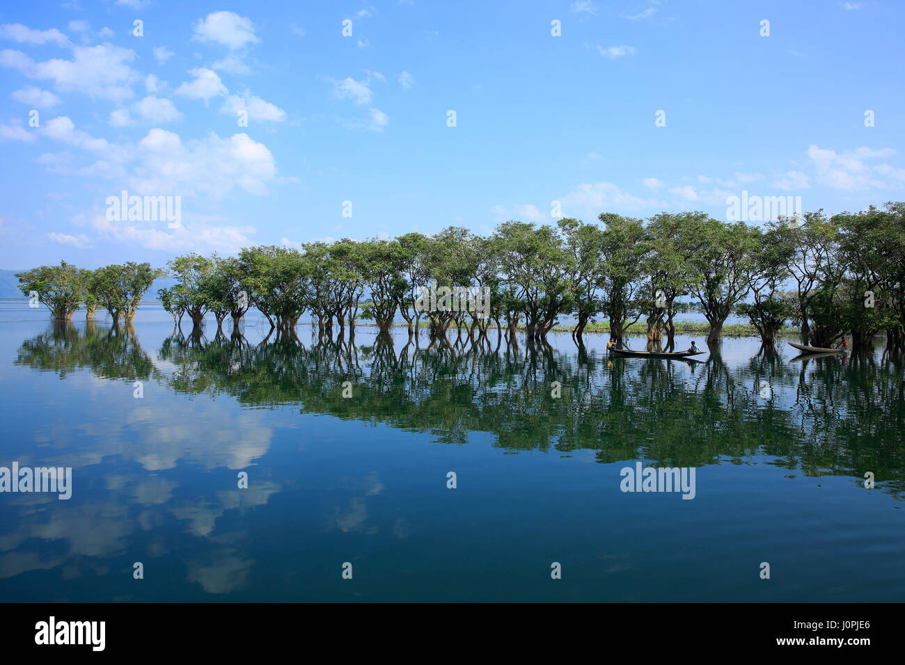 Tanguar haor, located in the Dharmapasha and Tahirpur upazilas of ...