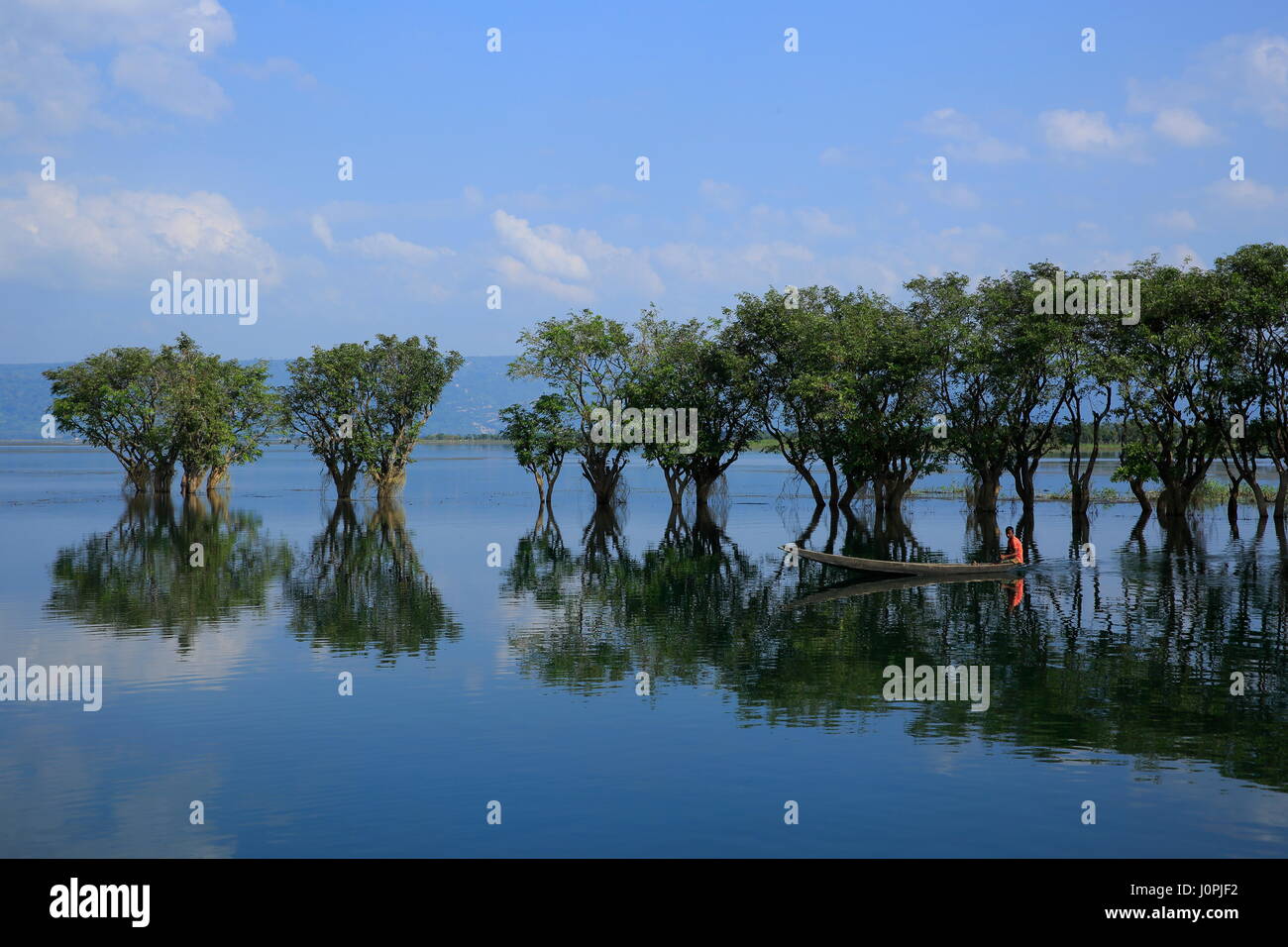 Tanguar haor, located in the Dharmapasha and Tahirpur upazilas of ...