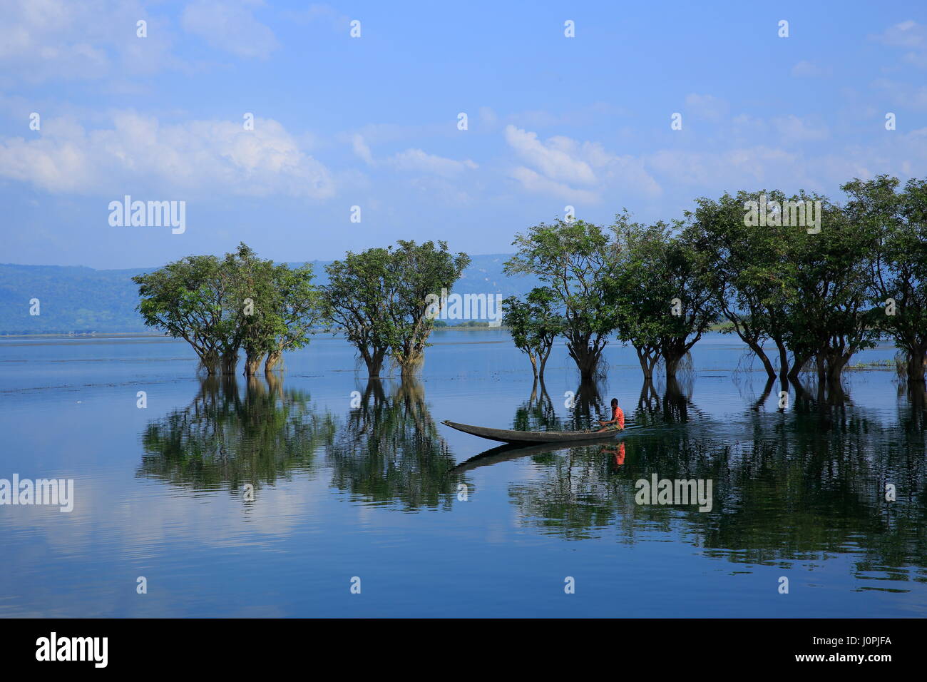 Tanguar haor, located in the Dharmapasha and Tahirpur upazilas of ...