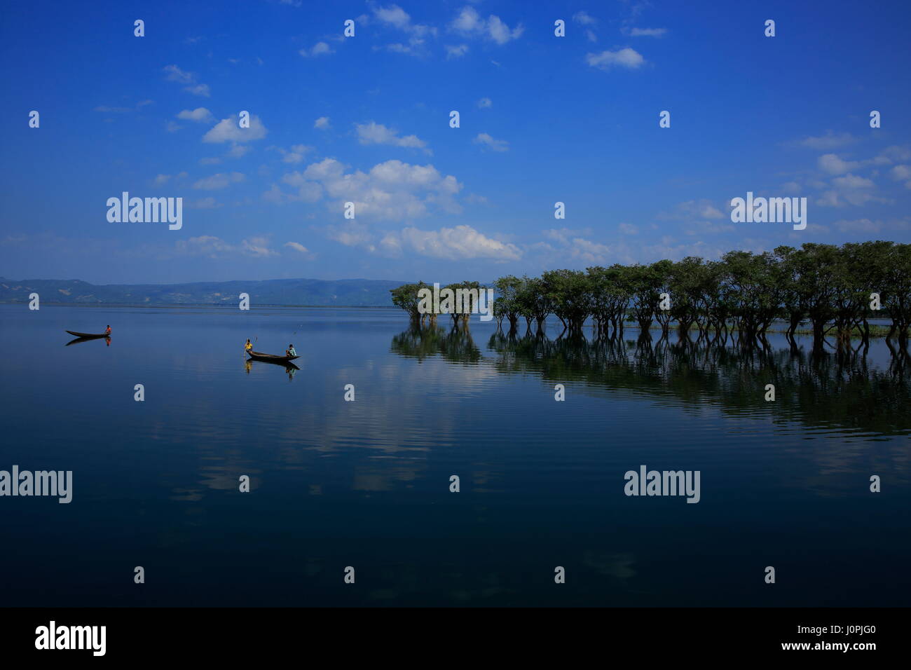 Tanguar haor, located in the Dharmapasha and Tahirpur upazilas of ...