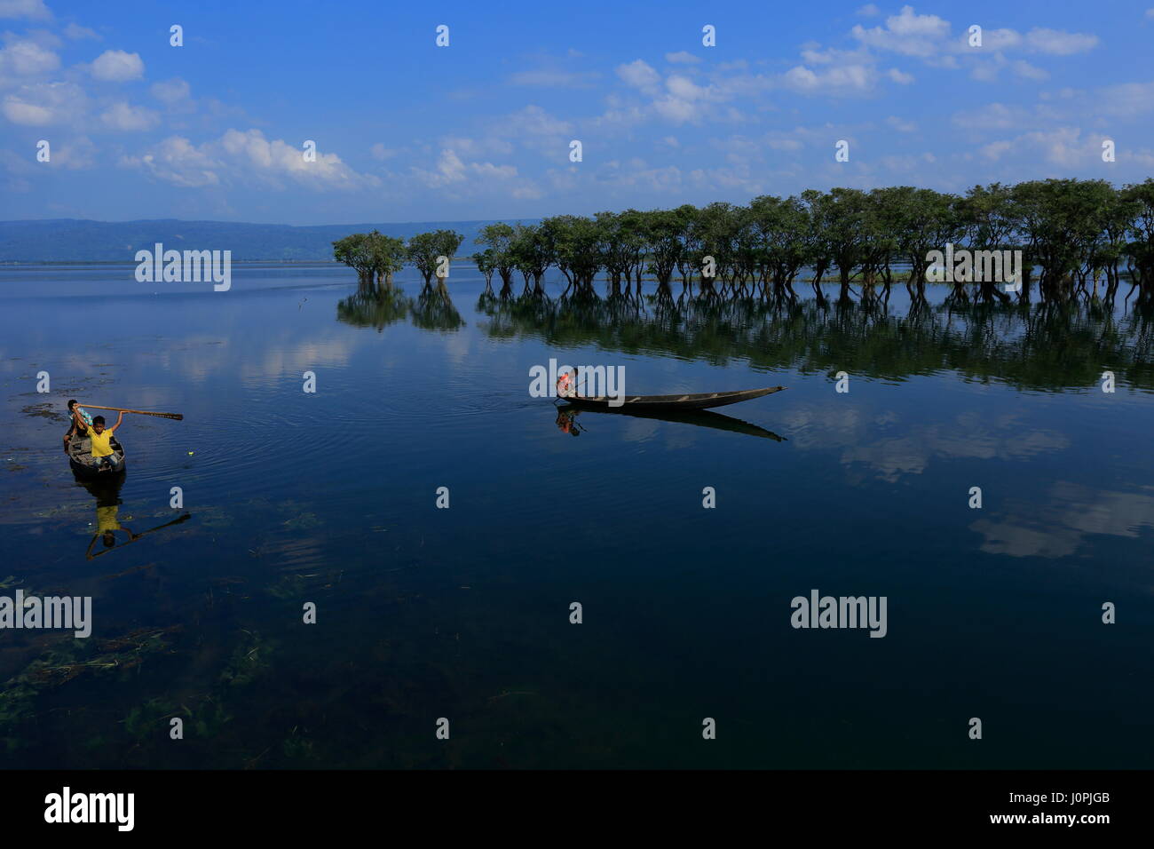 Tanguar haor, located in the Dharmapasha and Tahirpur upazilas of ...