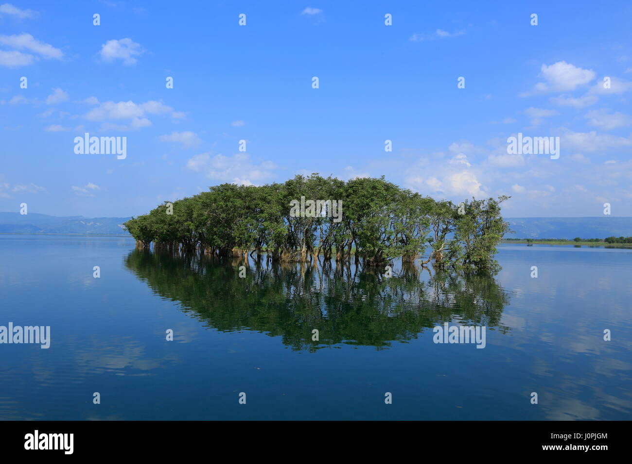 Tanguar haor, located in the Dharmapasha and Tahirpur upazilas of ...