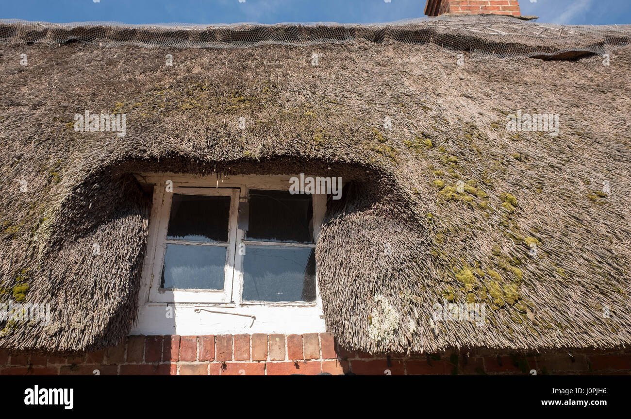 Typical thatched cottage hi-res stock photography and images - Alamy