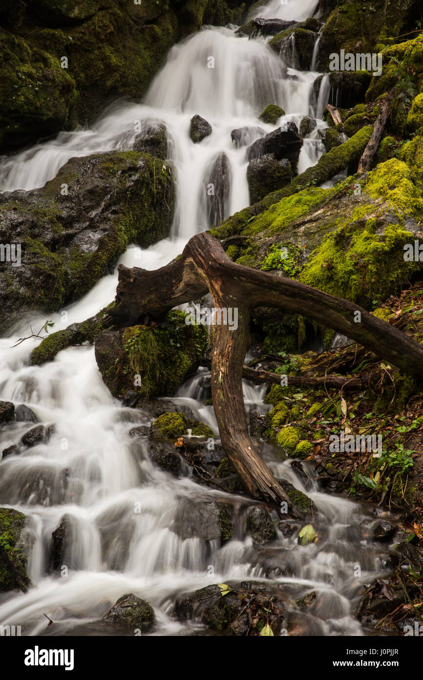 A Waterfall cascading down moss covered rocks Stock Photo - Alamy