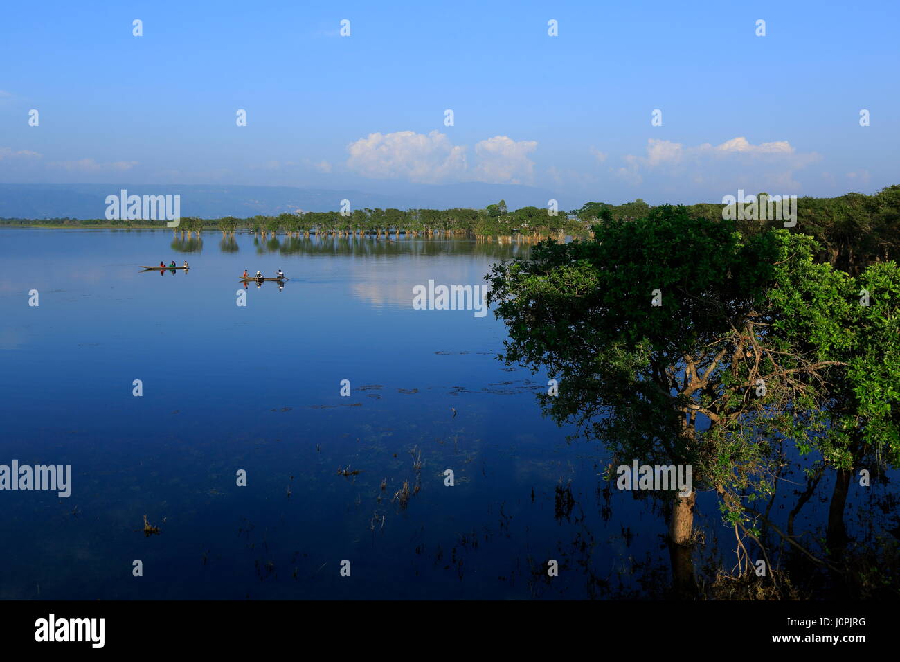 A scenario of Tanguar Haor also called Tangua Haor. Sunamganj ...