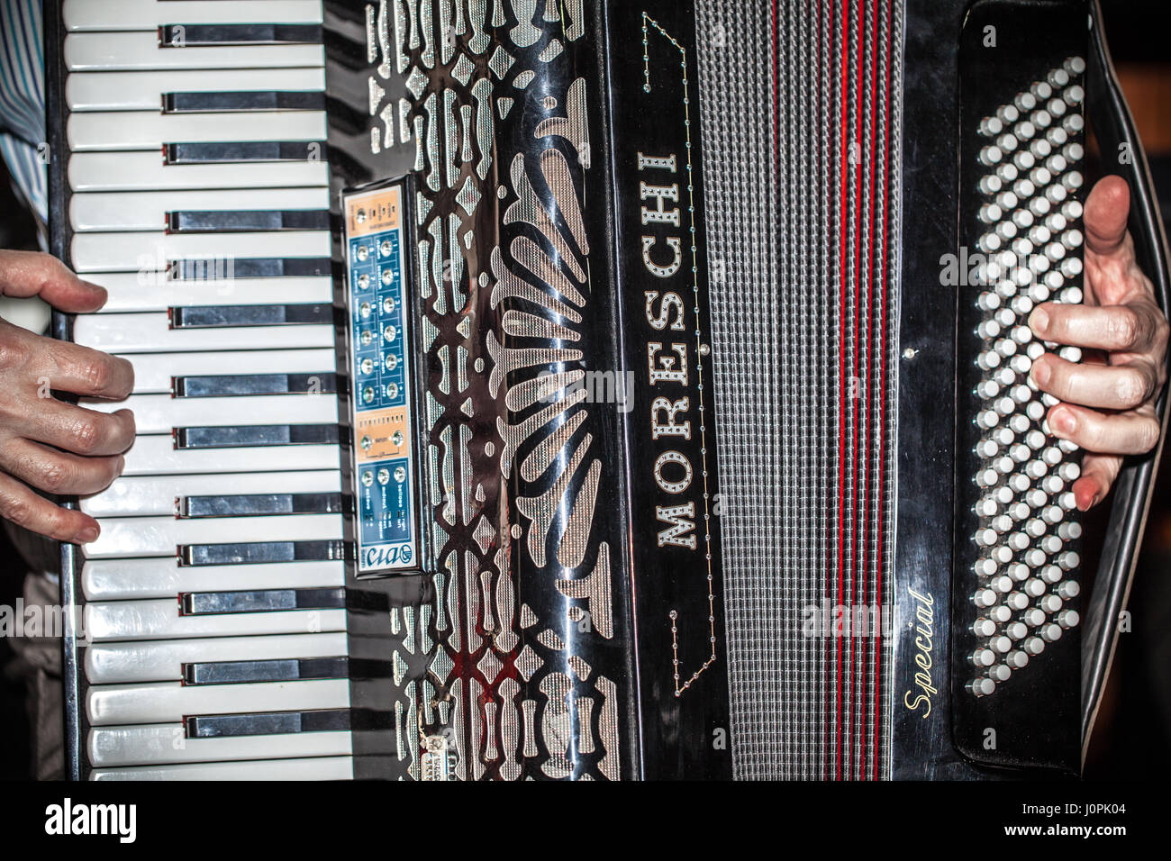 male musician playing the accordion Stock Photo - Alamy