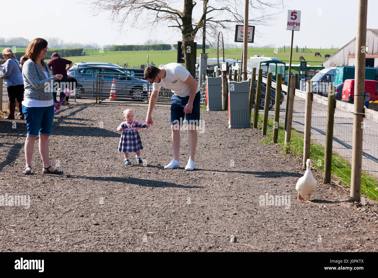 Glebe Farm, Astbury, Congleton, Cheshire. UK. (87 Stock Photo - Alamy