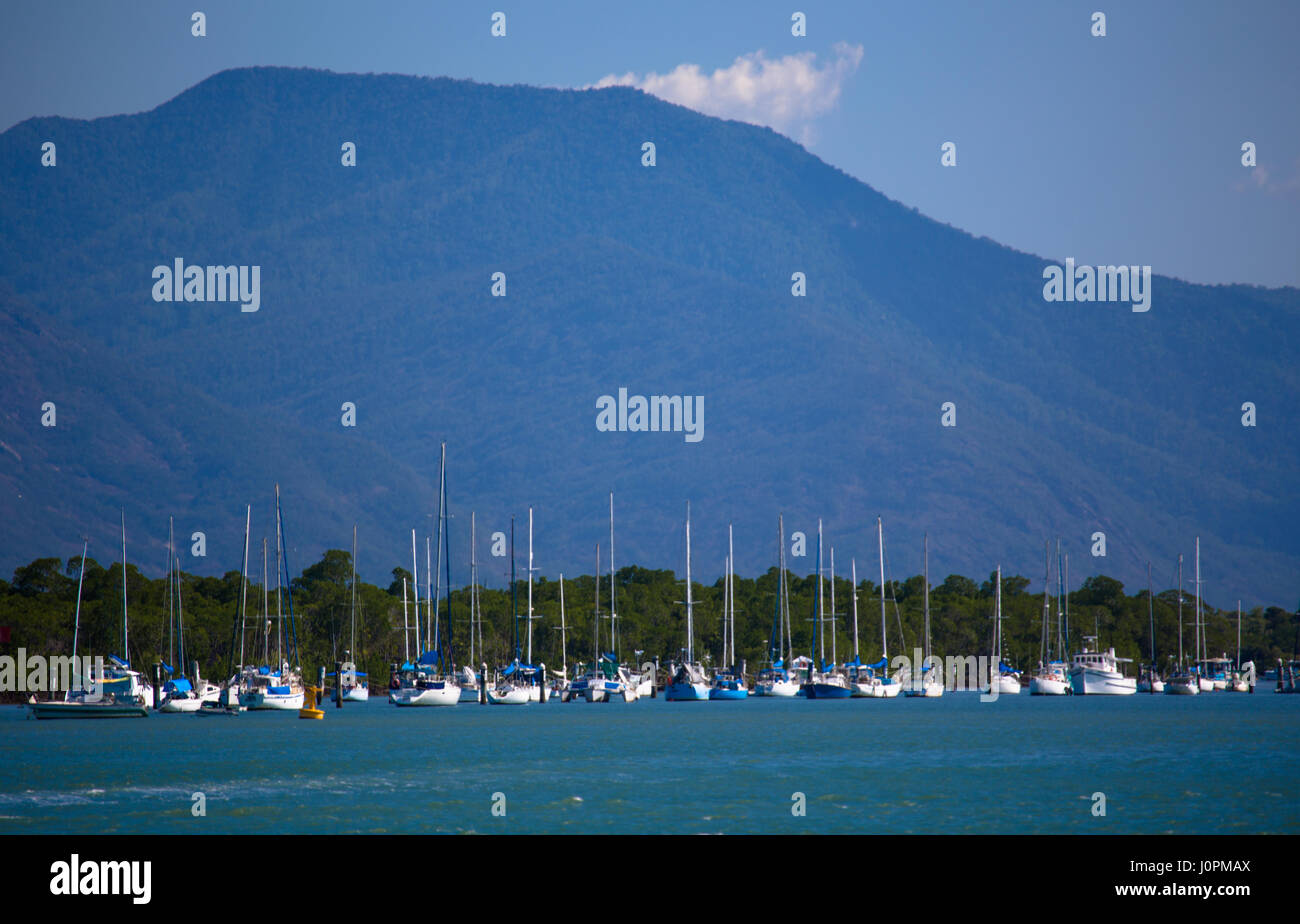 A line of yachts moored in Trinity inlet, Cairns, Queensland, Australia ...