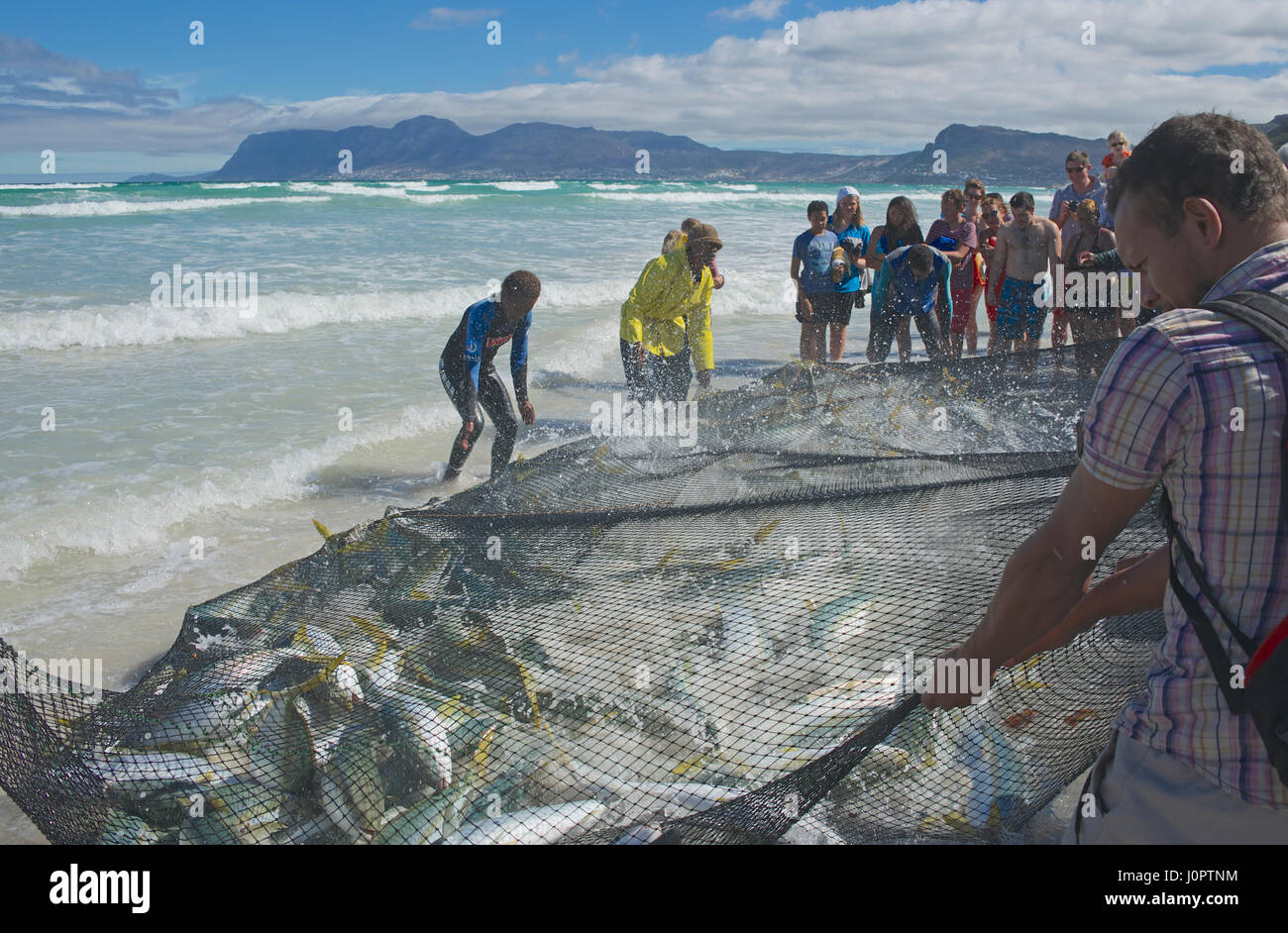 Fishermen bringing in their nets hi-res stock photography and images ...