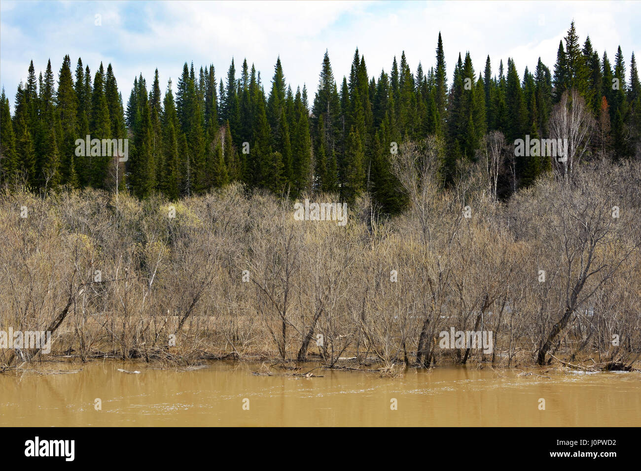 The spring flood on the taiga river Suenga in the mountains the Salair ...