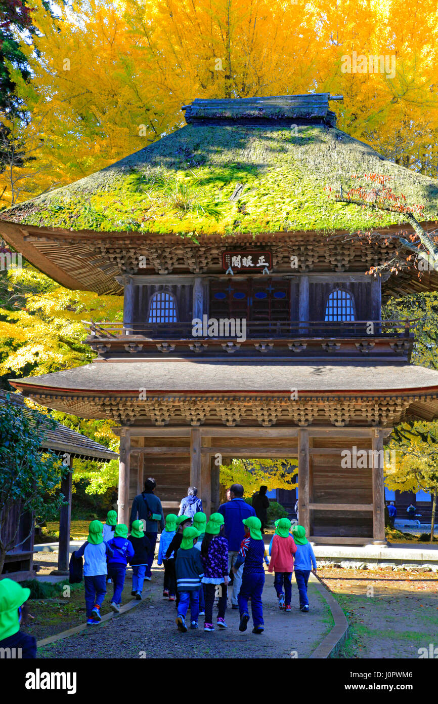Kotokuji Temple Ginkgo trees in Autumn Akiruno city Tokyo Japan Stock ...