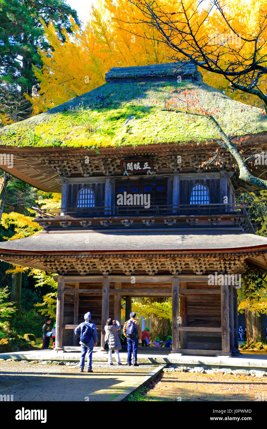Kotokuji Temple Ginkgo trees in Autumn Akiruno city Tokyo Japan Stock ...