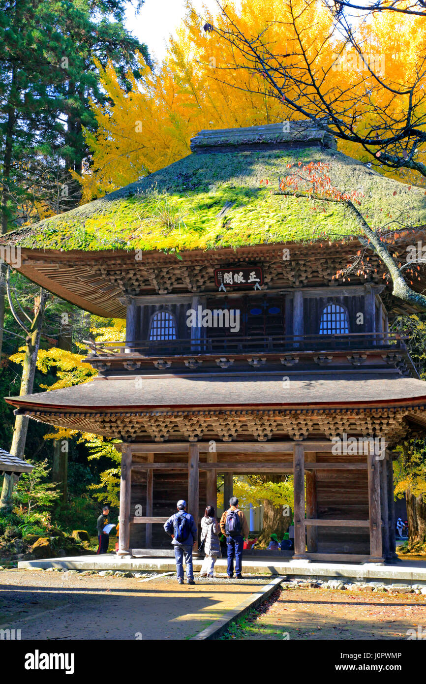 Kotokuji Temple Ginkgo trees in Autumn Akiruno city Tokyo Japan Stock ...