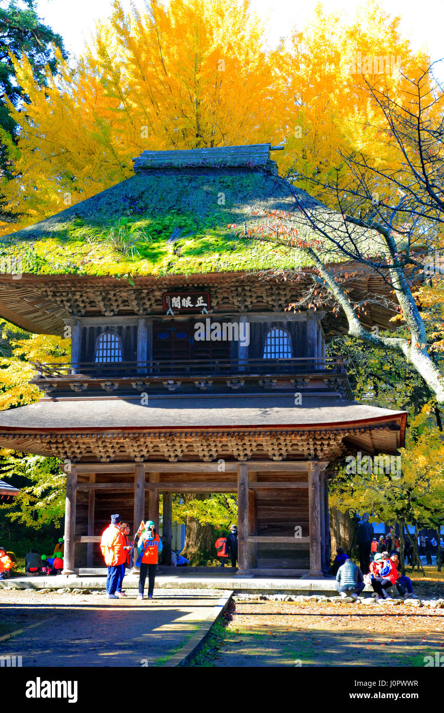 Kotokuji Temple Ginkgo trees in Autumn Akiruno city Tokyo Japan Stock ...
