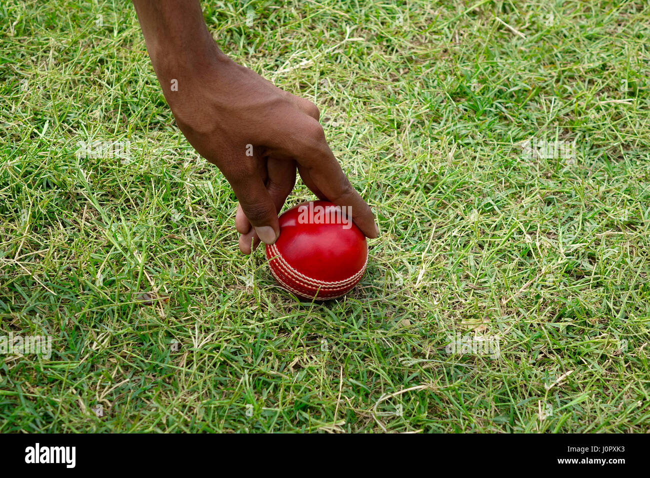 Cricket equipment stock image hi-res stock photography and images - Alamy
